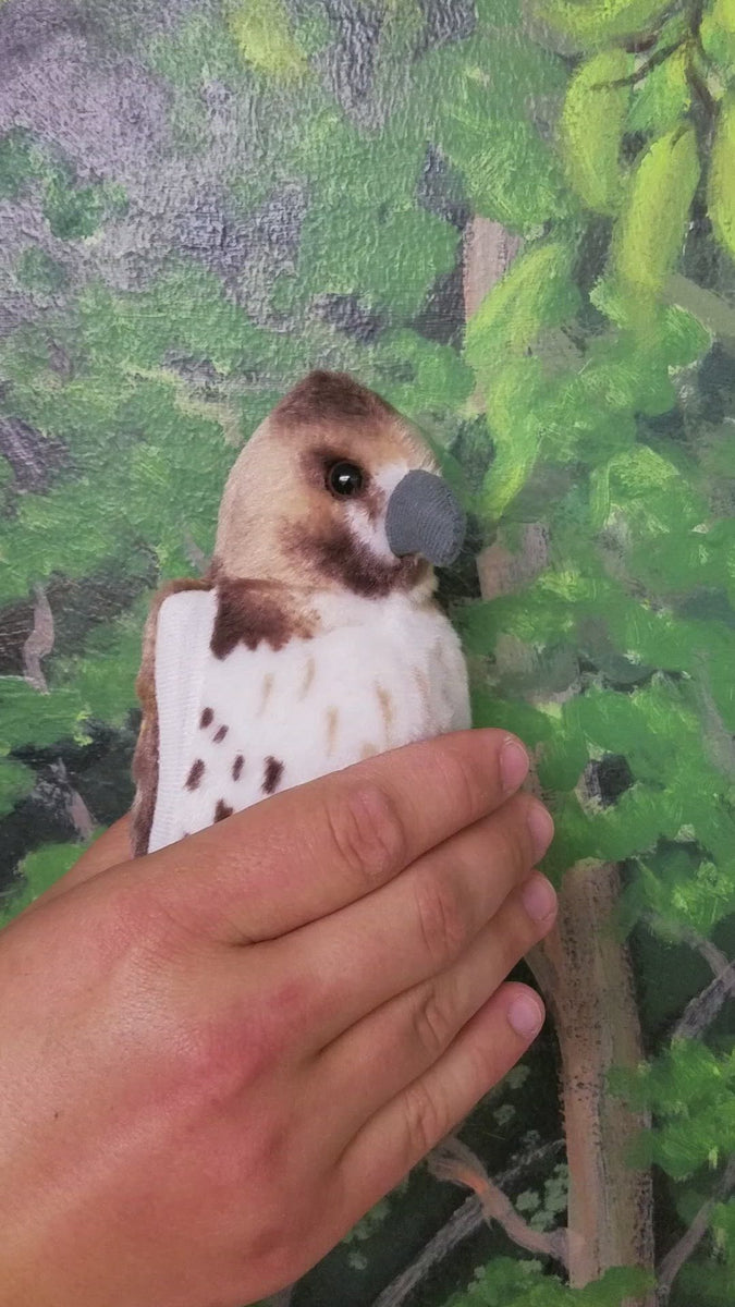Plush - Audubon Red-Tailed Hawk with Sound – National Eagle Center Gift ...